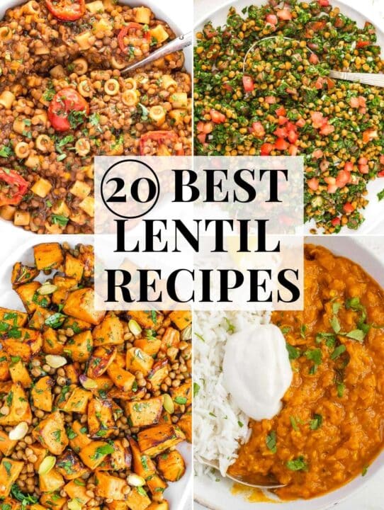 20 Best Lentil Recipes - Plant Based School