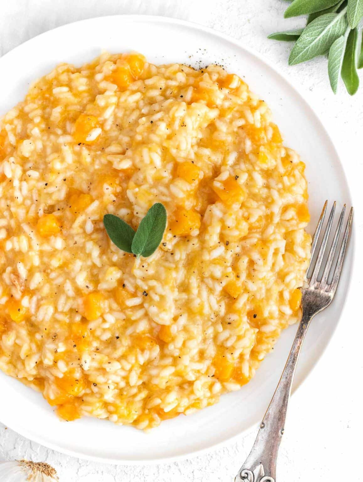 Butternut Squash Risotto - The Plant Based School