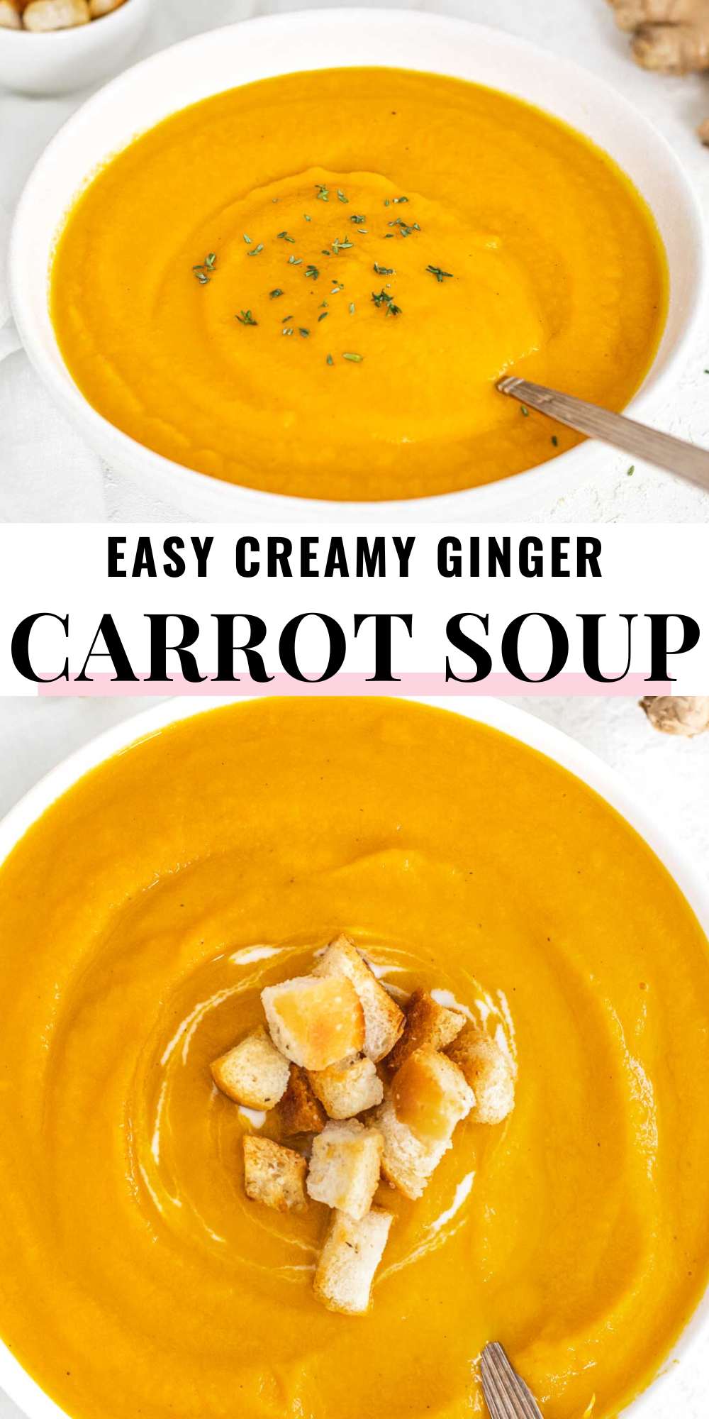 Carrot Soup - Plant Based School