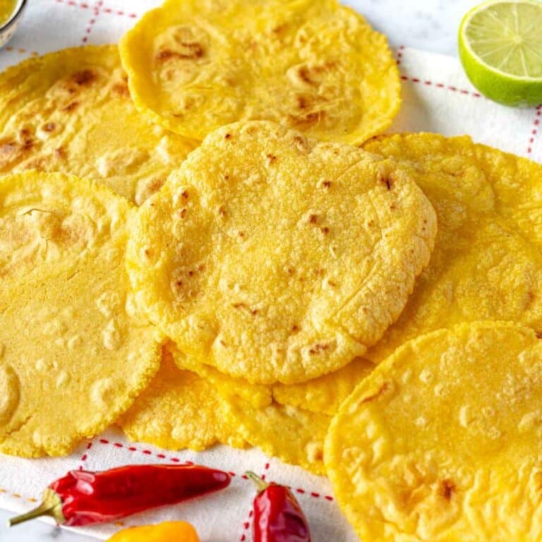 Easy Corn Tortillas