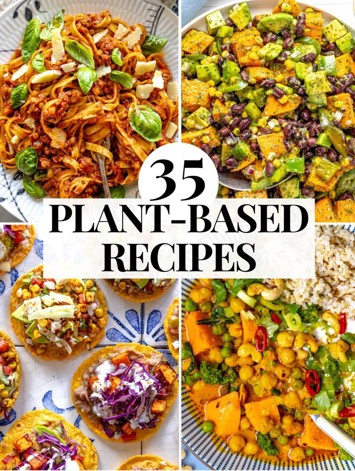 35 Plant Based Recipes for a Protein-Packed Menu