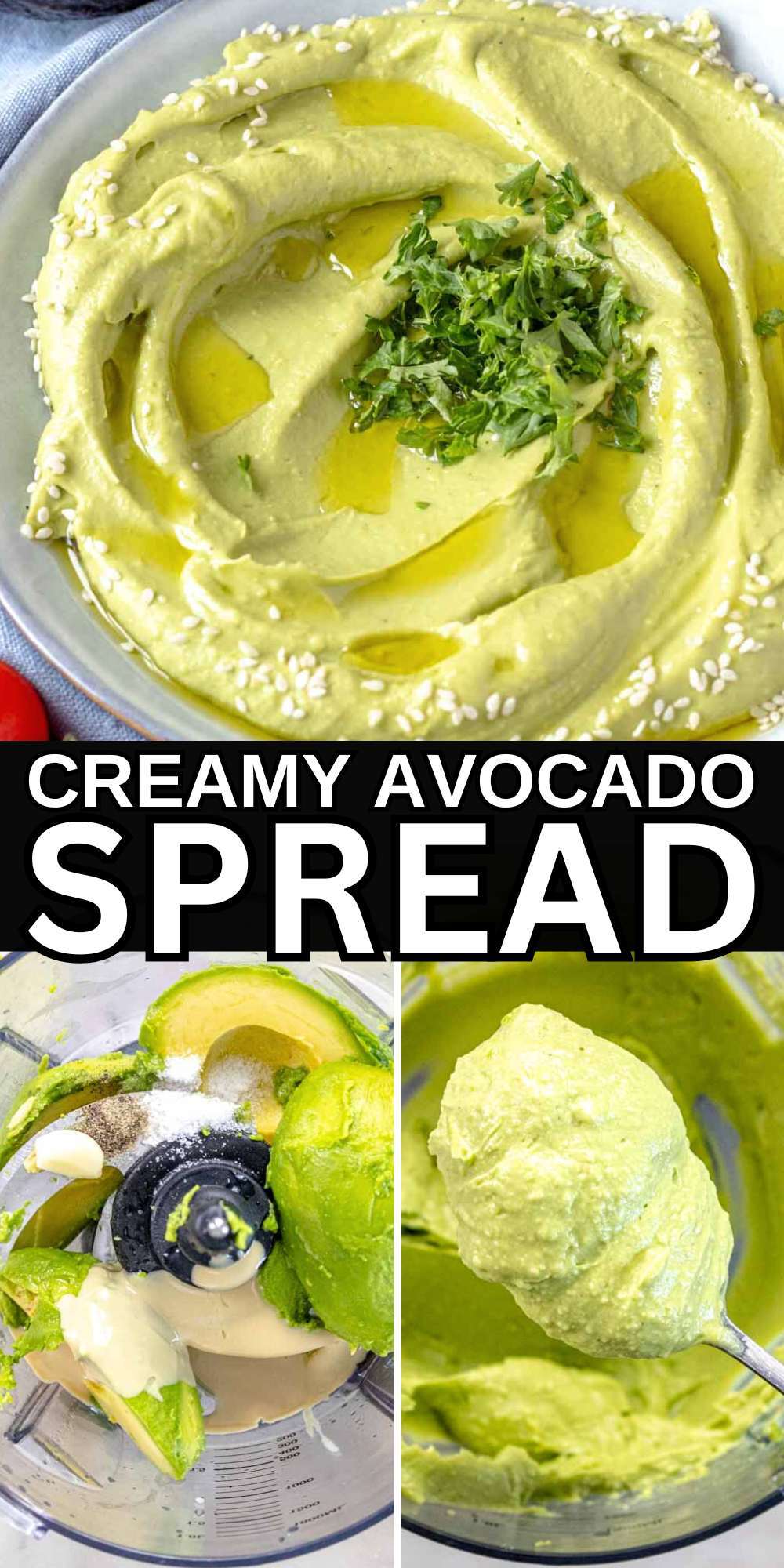 Avocado Spread - The Plant Based School