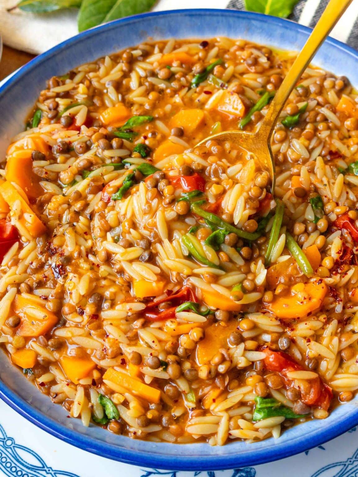 Mediterranean Lentil and Orzo (30-Minute One-Pot Dinner) - The Plant ...