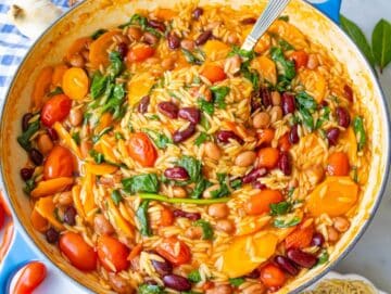 12 Orzo Recipes We Make on Repeat (Cozy, Weeknight Dinners) - The Plant ...
