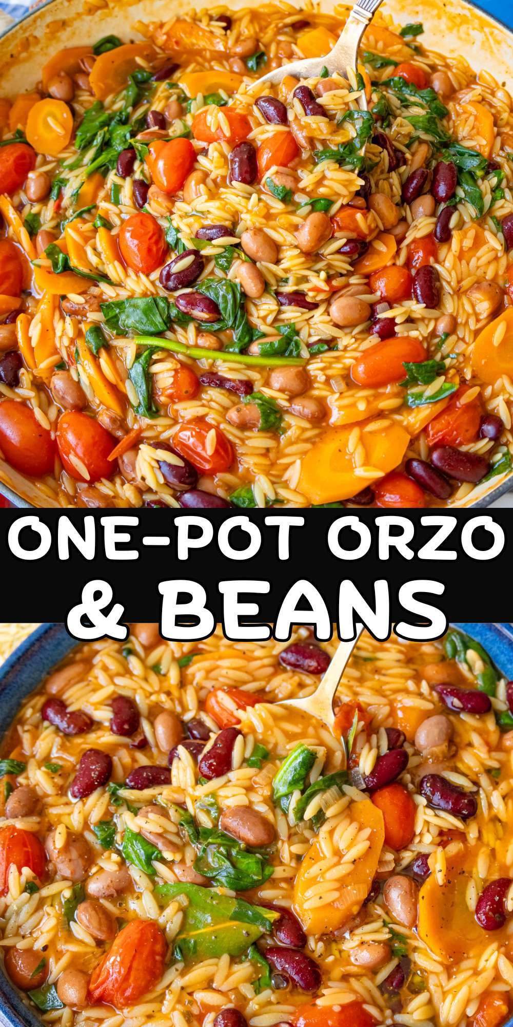 Mediterranean Orzo and Beans (Healthy One-Pot Dinner) - The Plant Based ...