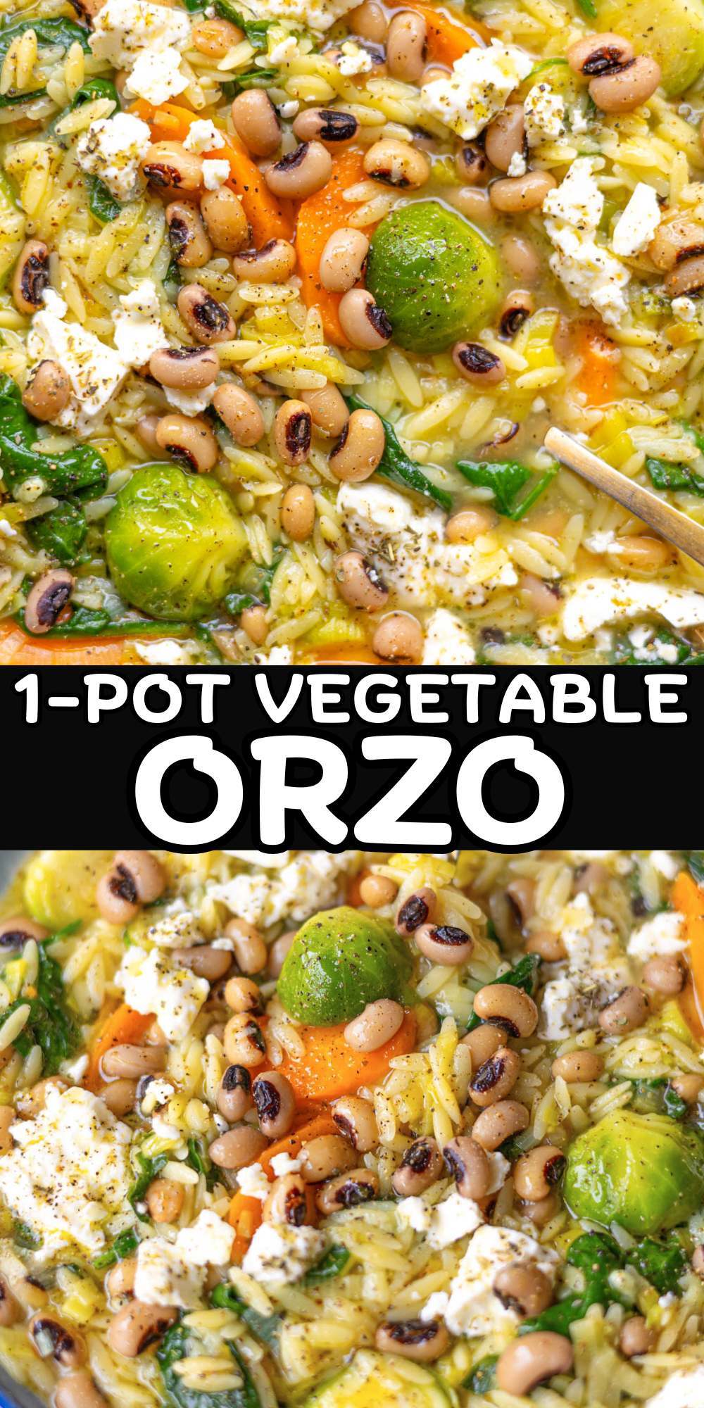 Mediterranean One-Pot Vegetable Orzo (Easy in 30 Minutes) - The Plant ...