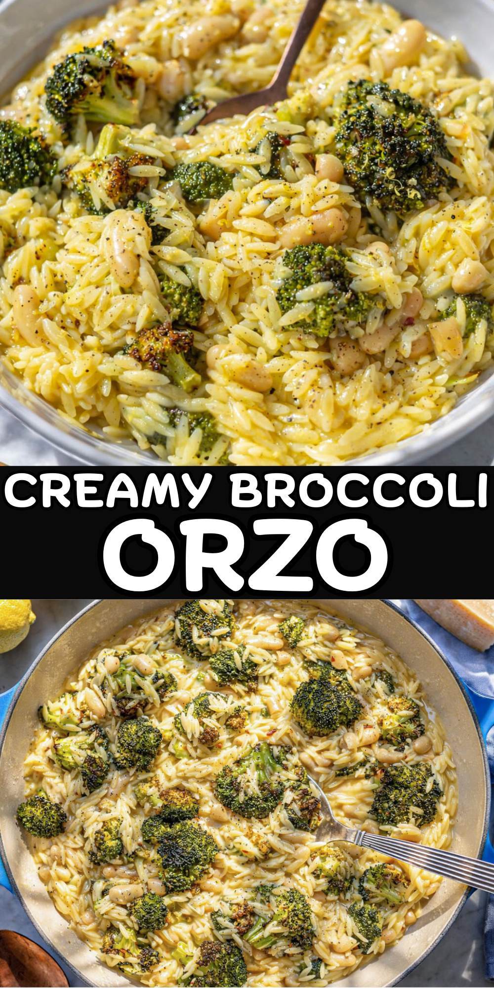 Broccoli Orzo with White Beans, Lemon and Parmesan - The Plant Based School